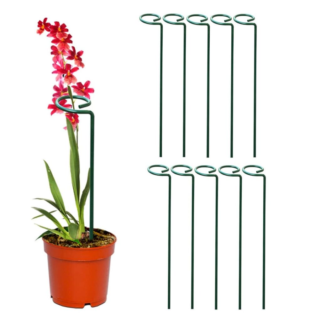 Elegant Home Plant Support Rod stem Garden Sticks Plant Straightener ...